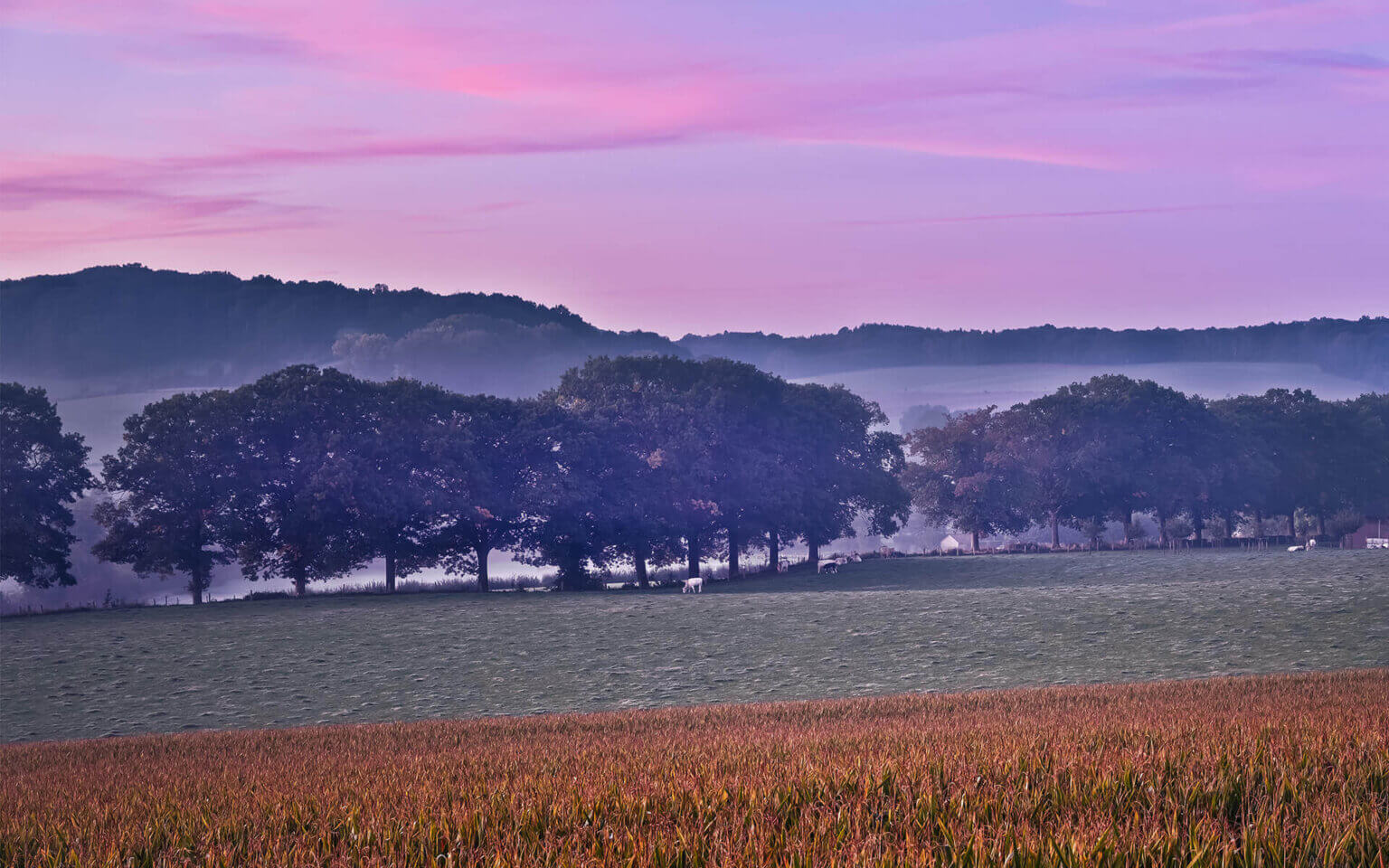 South Limburg hills - Sander Poppe
